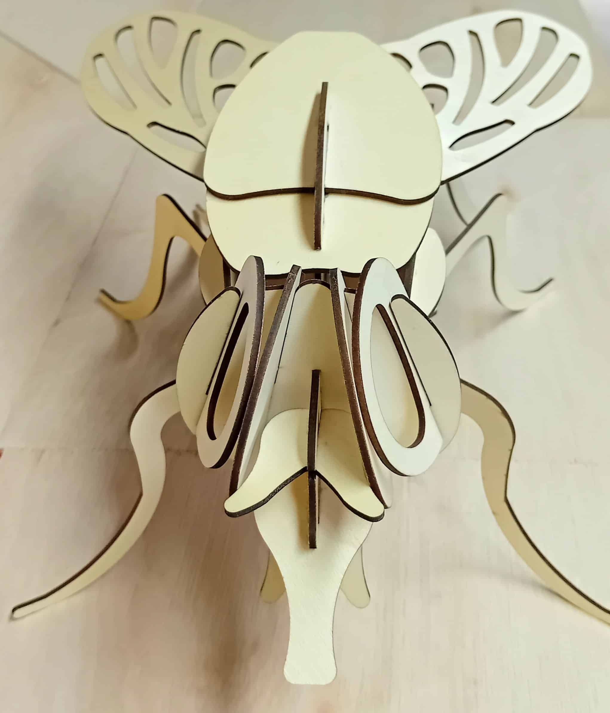 Make & Paint Your Own 3D Wooden Fly Model – Candescent Crafting