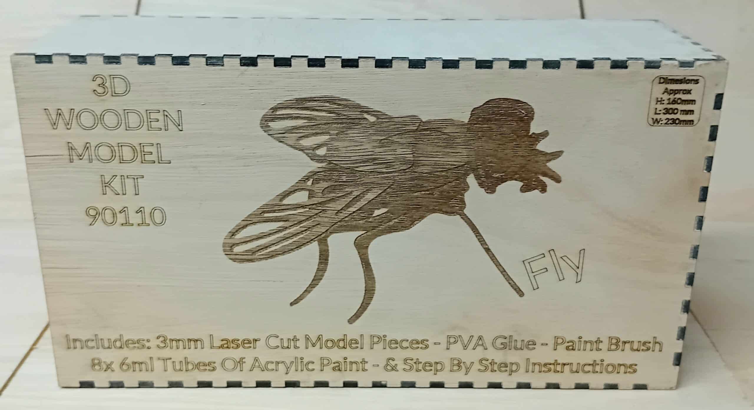 Make & Paint Your Own 3D Wooden Fly Model – Candescent Crafting